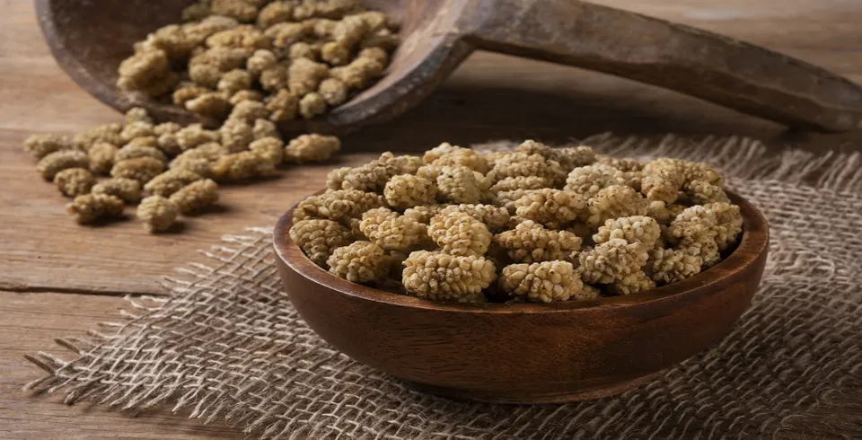 Quru Tutun Faydaları - Osmanlı Çərəz